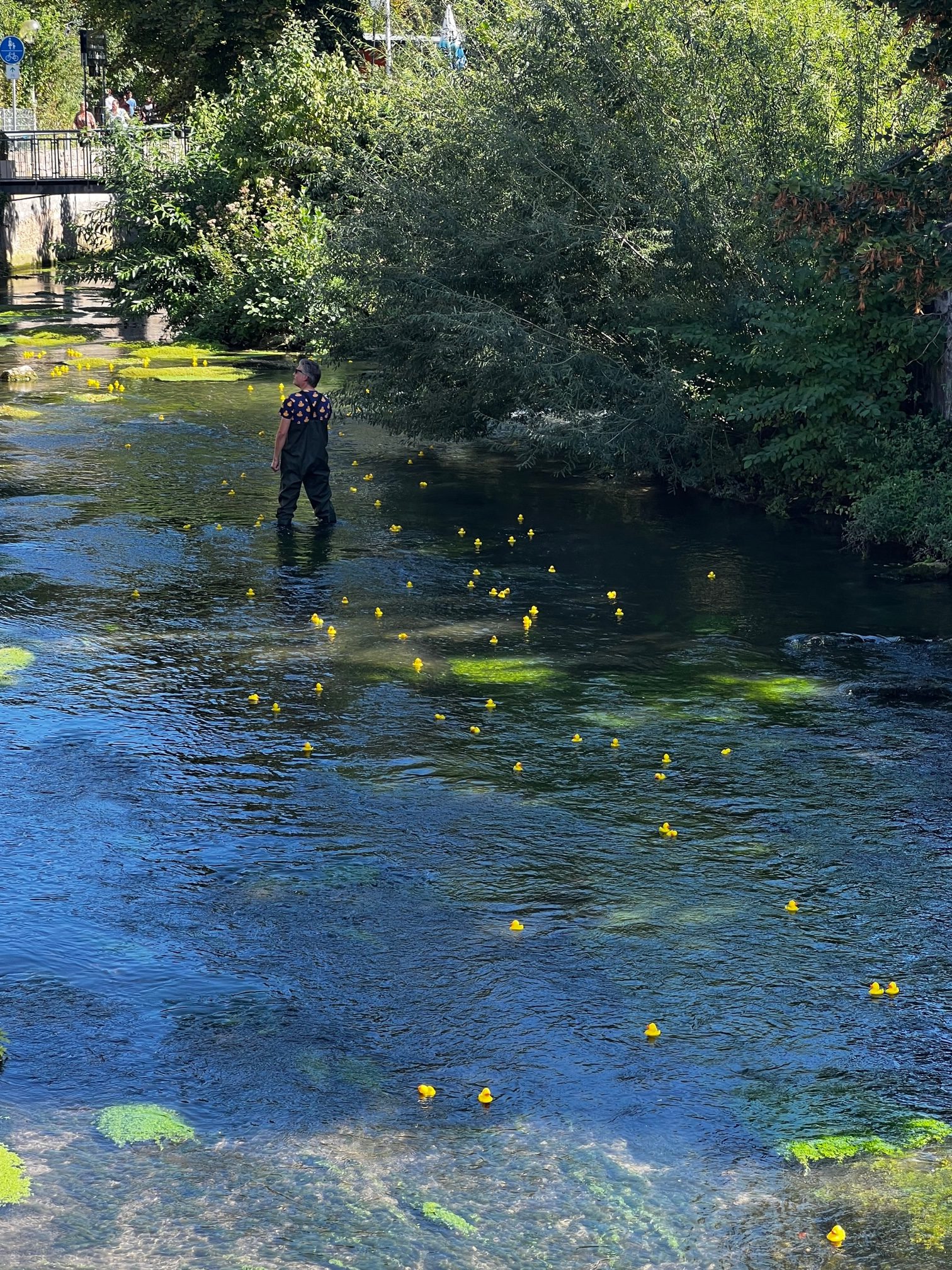 Entenrennen 2023 – KTS